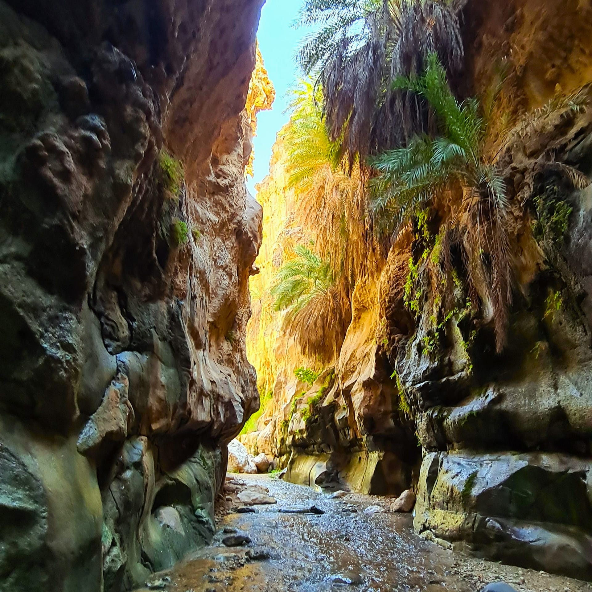 Wadi Bin Hammad One Day Hiking Trip - Where To Travel