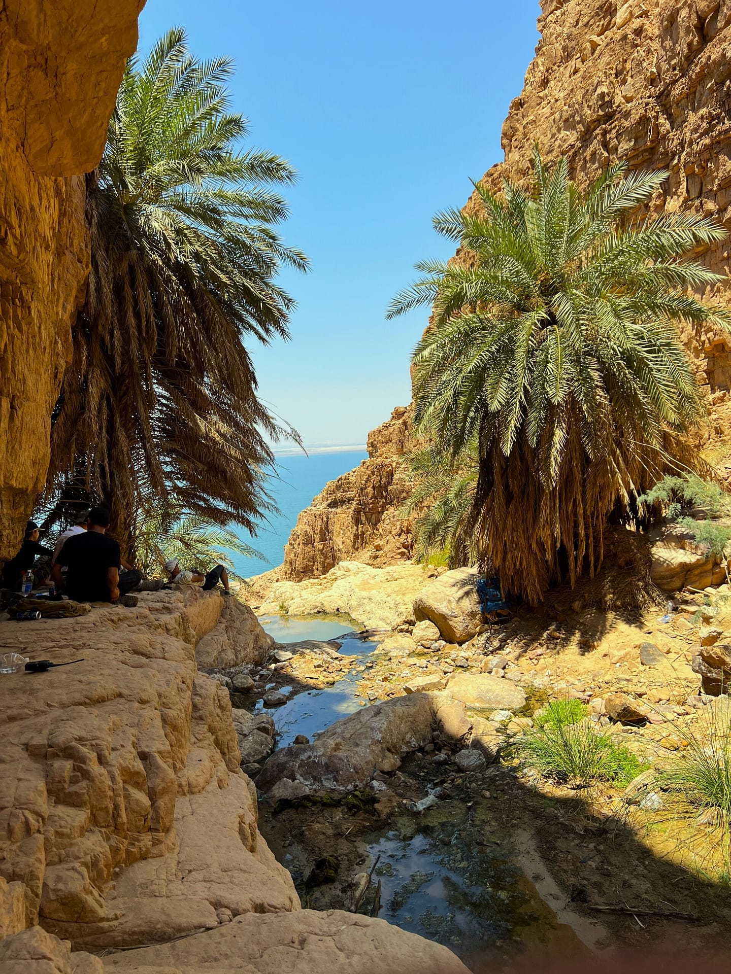 Wadi Jazara Expedition: A One-Day Hiking Adventure - Where To Travel